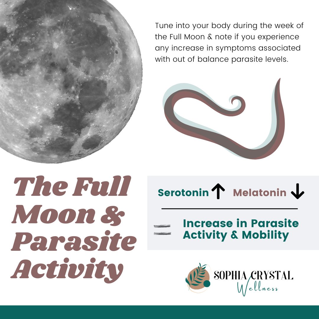 Parasites, The Full Moon & You – Sophia Crystal Wellness